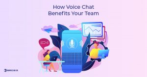 What Is Voice Chat And Why Do You Need It? - Brosix