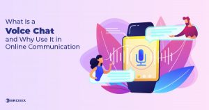 What Is A Chat Room: Definition, Technology, And Purpose - Brosix