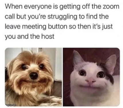 Funny And Relatable Work Memes To Make You Laugh - BROSIX