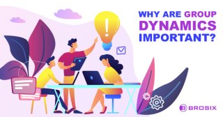 Exploring Group Dynamics: Creating A Dynamic Team - BROSIX