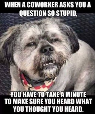 65 Funny And Relatable Work Memes - BROSIX