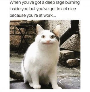 65 Funny And Relatable Work Memes - BROSIX