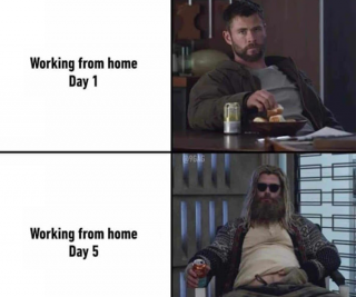 19 Working From Home Memes To Brighten Your Day - BROSIX