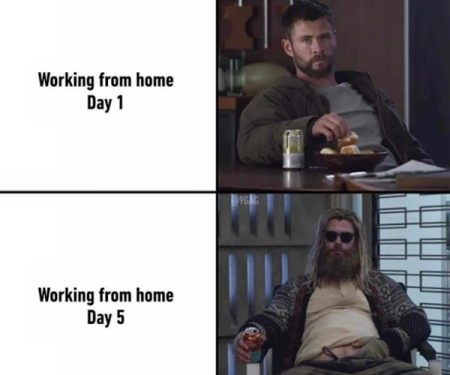 19 Working From Home Memes To Brighten Your Day - BROSIX
