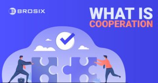 Difference Between Collaboration And Cooperation - BROSIX